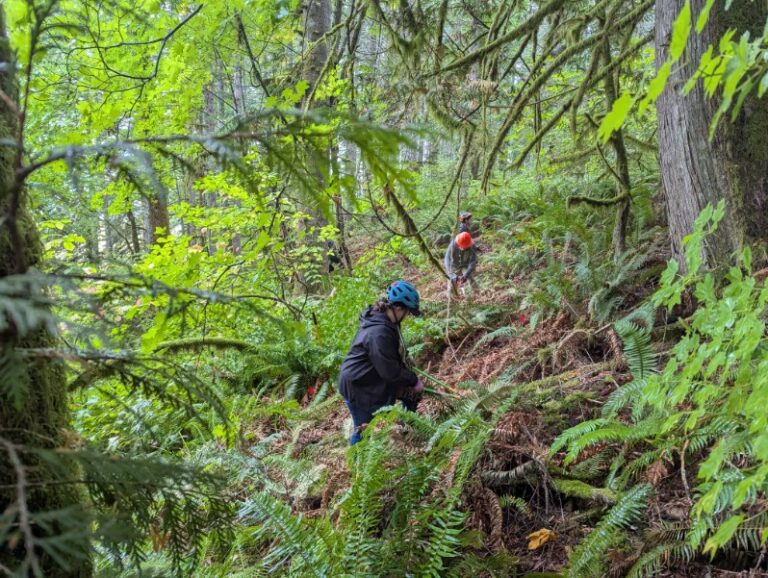 Volunteers Break Ground on Hagg Lake Trail Re-Route – Northwest Trail ...