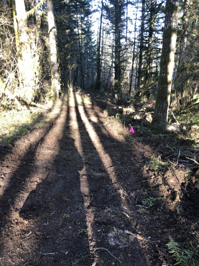 Hagg Lake Dig Day Recap: Re-Route Progress and Bench Work – Northwest ...